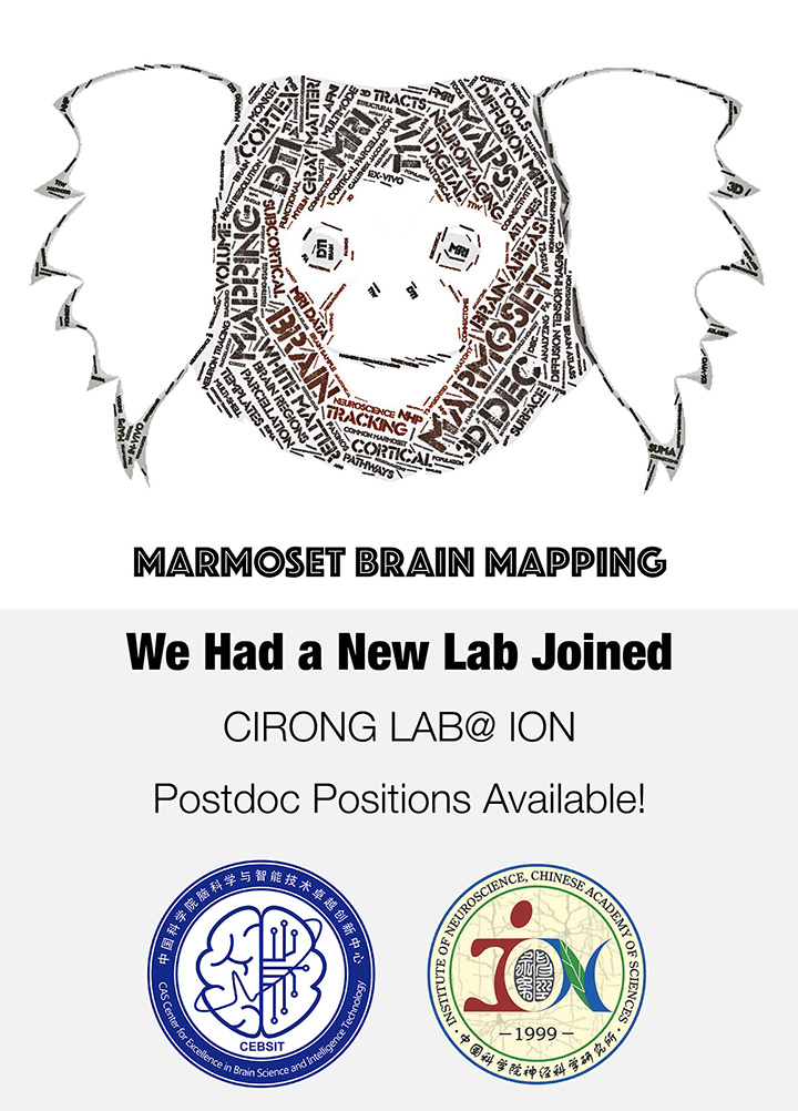Marmoset Brain Mapping
