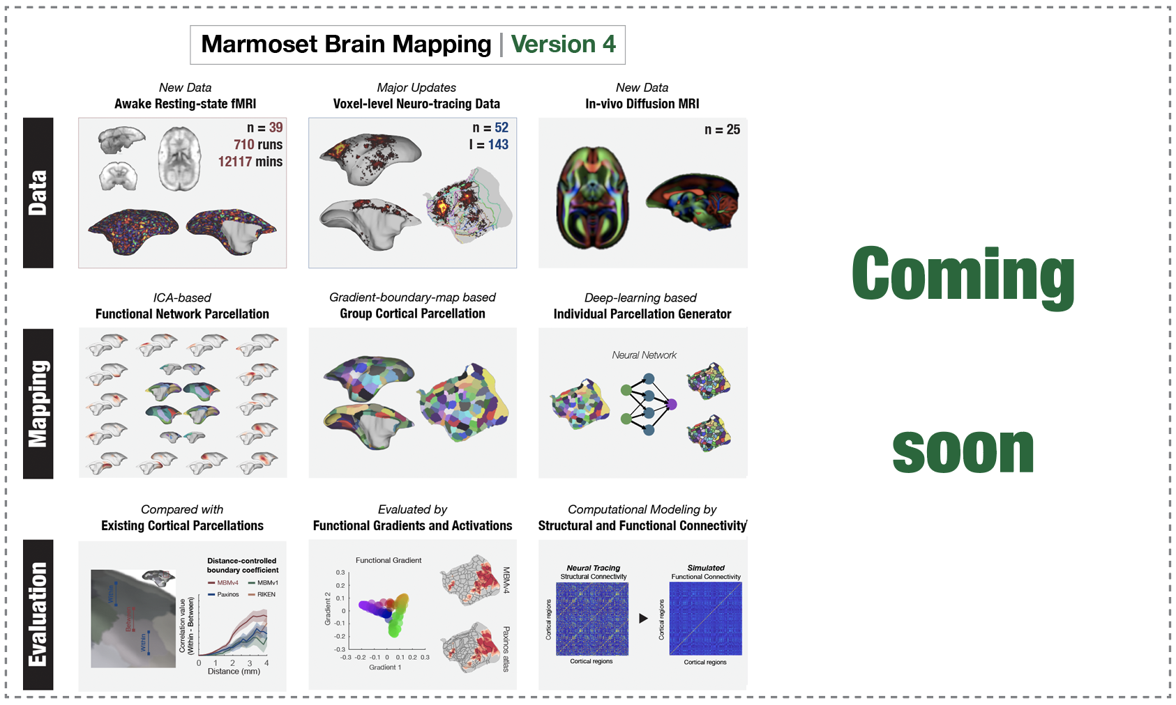 Marmoset Brain Mapping